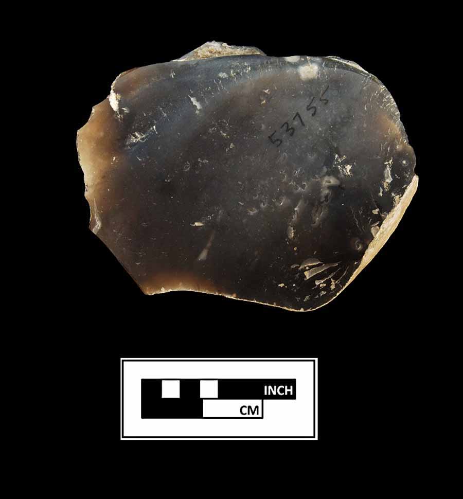 Colonial Encounters: The Lower Potomac River Valley, 1500-1720 AD