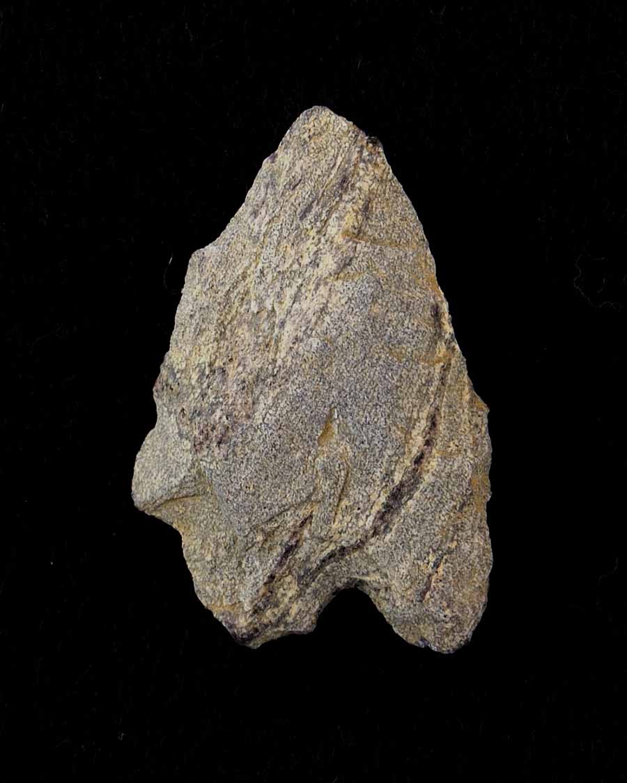 Colonial Encounters: The Lower Potomac River Valley, 1500-1720 AD