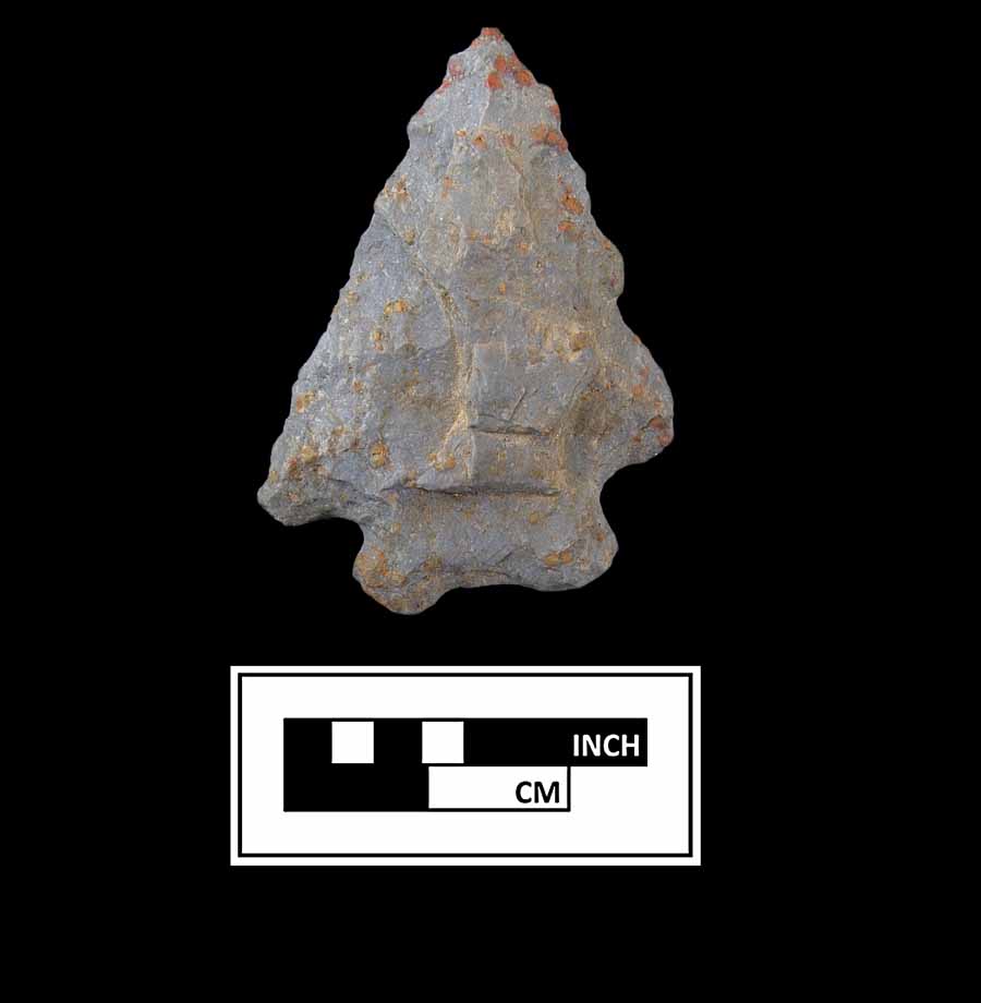 Colonial Encounters: The Lower Potomac River Valley, 1500-1720 AD