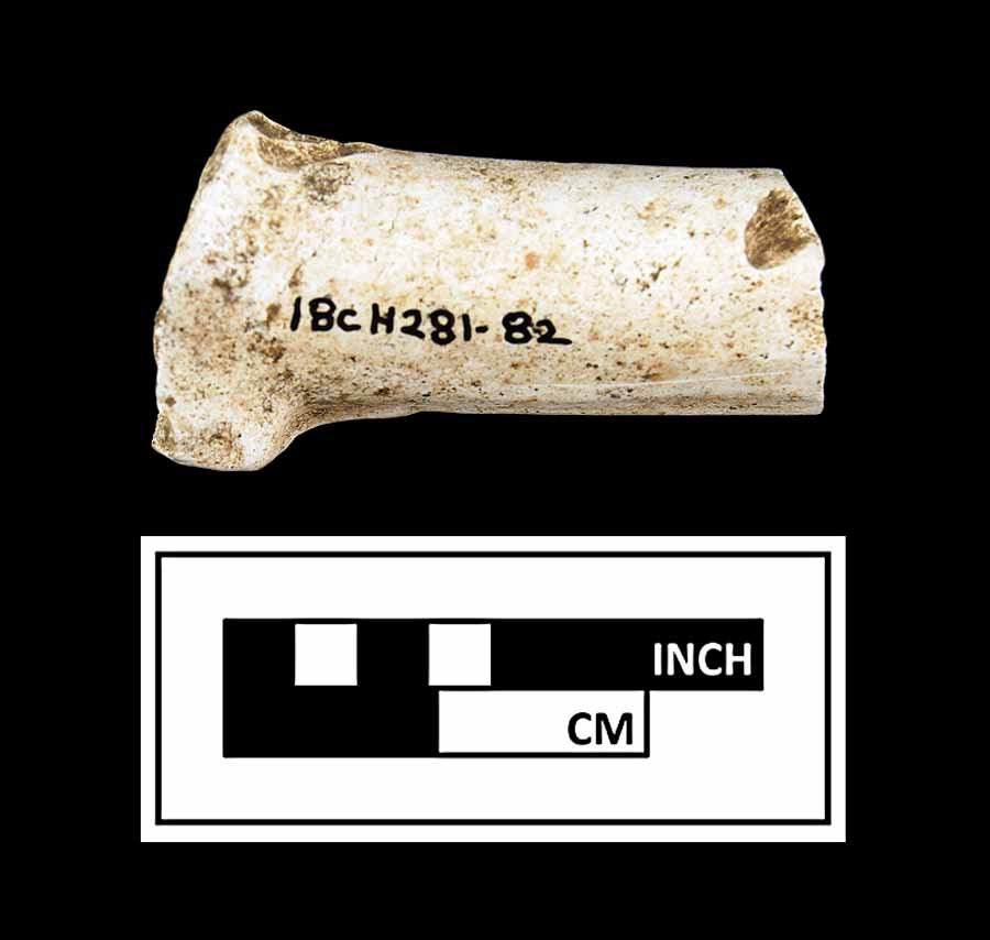 Colonial Encounters: The Lower Potomac River Valley, 1500-1720 AD