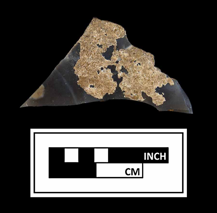 Colonial Encounters: The Lower Potomac River Valley, 1500-1720 AD