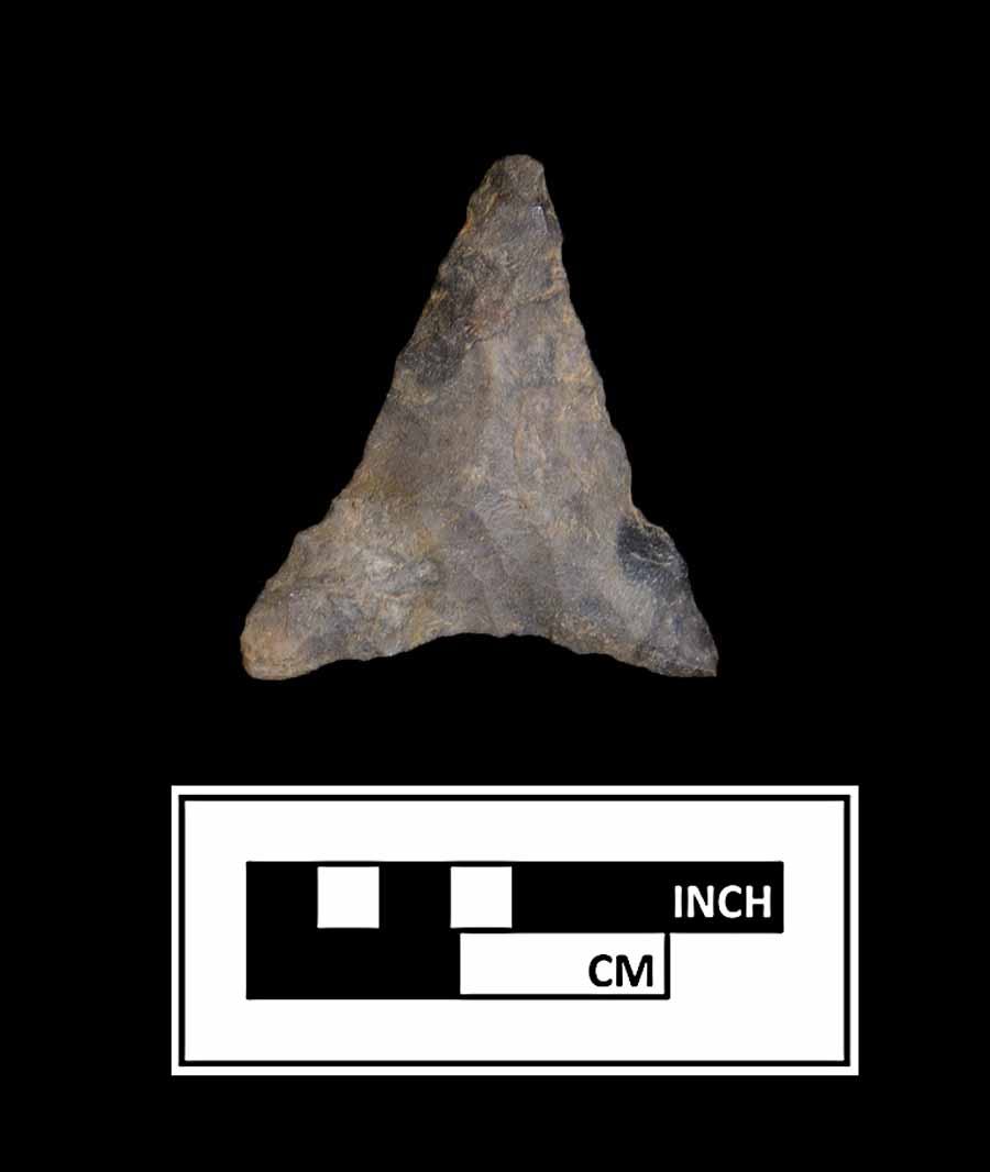 Colonial Encounters: The Lower Potomac River Valley, 1500-1720 AD