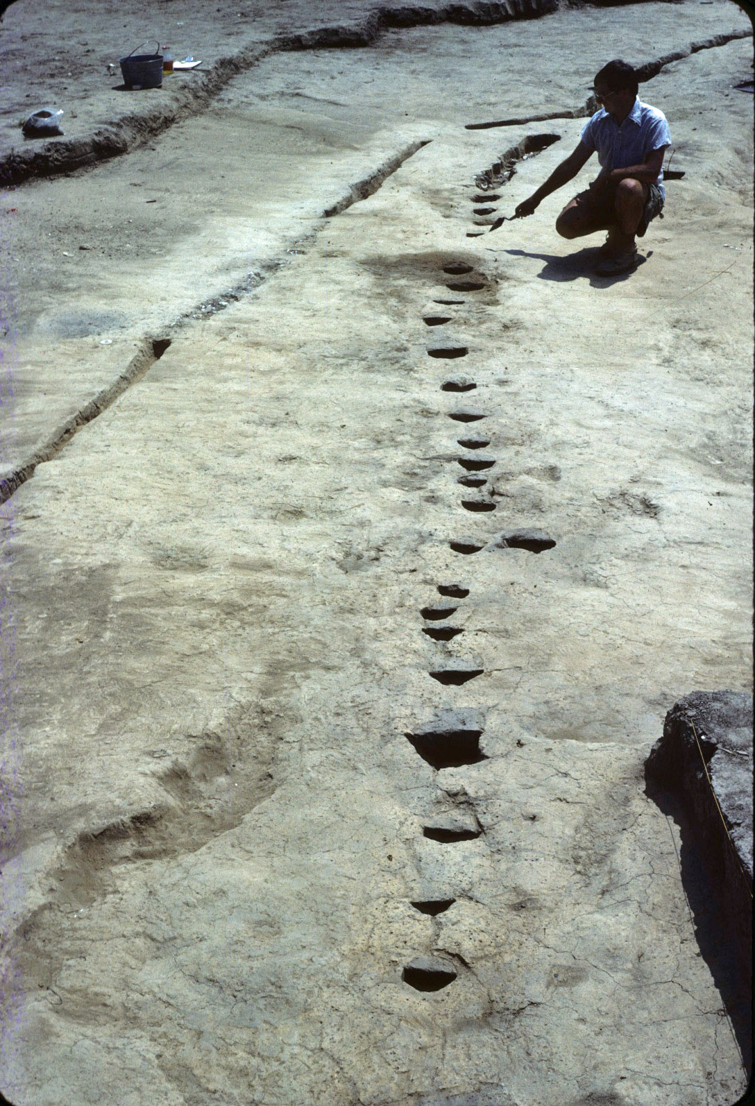 Colonial Encounters: The Lower Potomac River Valley, 1500-1720 AD